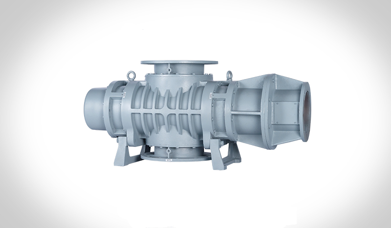 What Is Roots Vacuum Pump: Working Principle, Advantage & Application ...