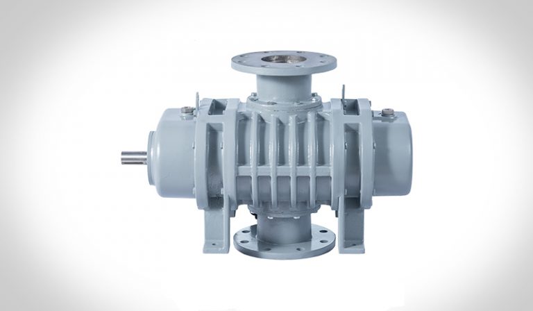 What Is Roots Vacuum Pump: Working Principle, Advantage & Application ...